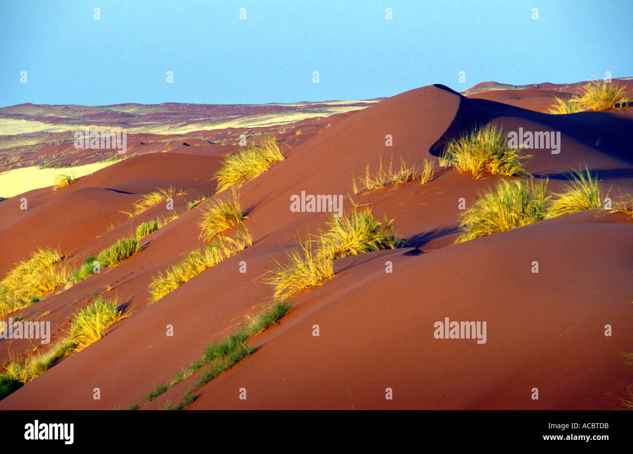 Sand Dune Sossusvlei Namib Desert Namibia Southern Africa Stock Photo ...