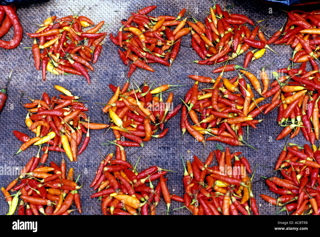 hot peppers at market island of ambon islands of moluccas indonesia ...
