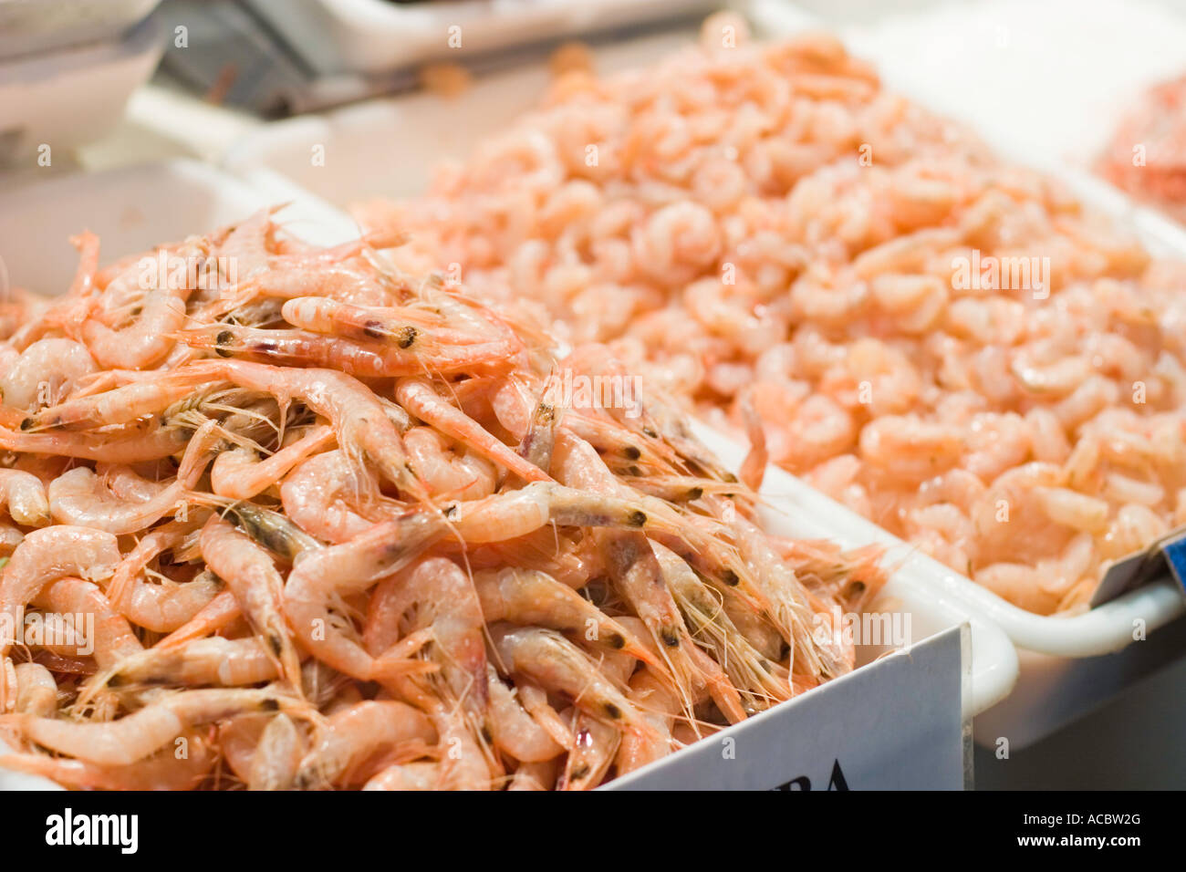 Central fish market Mercado Central Cadiz Andalucia Spain Europe Stock ...