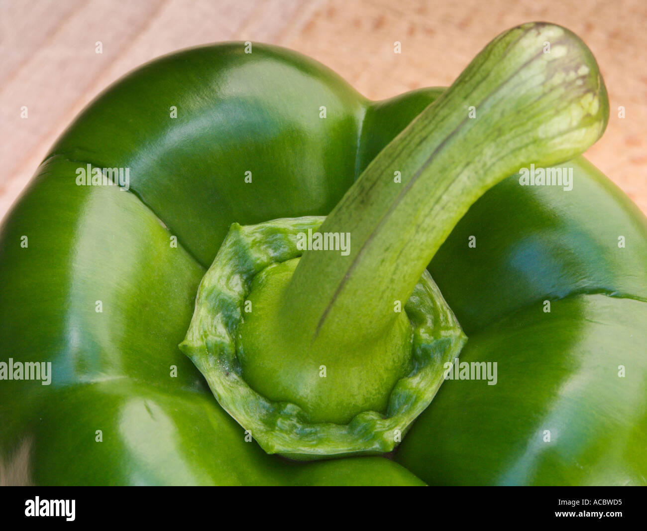 Botany capsicum hi-res stock photography and images - Alamy