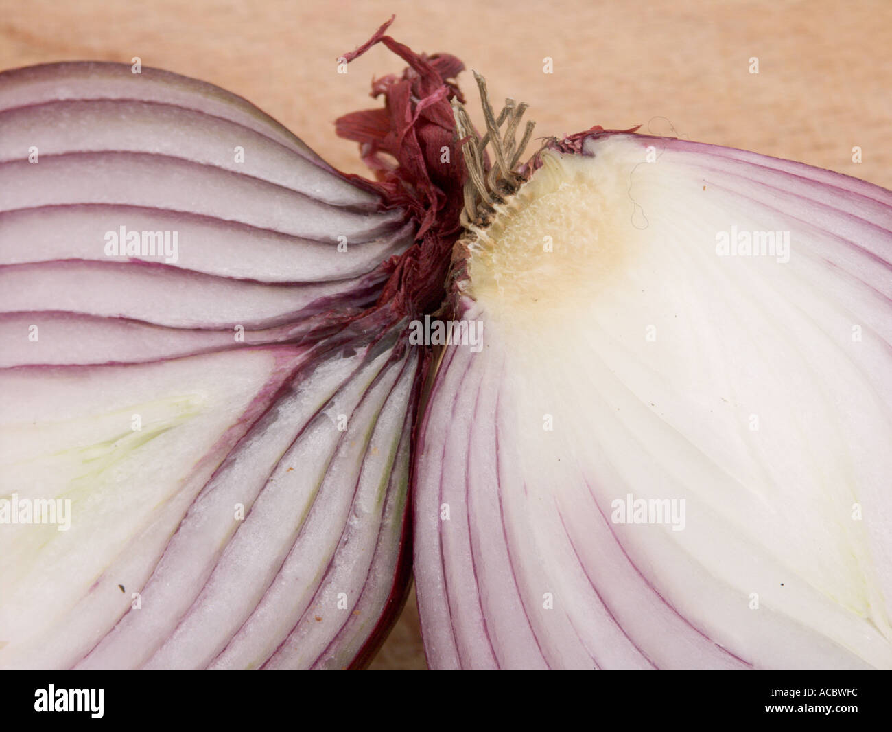 Sliced Red Onion Stock Photo - Alamy