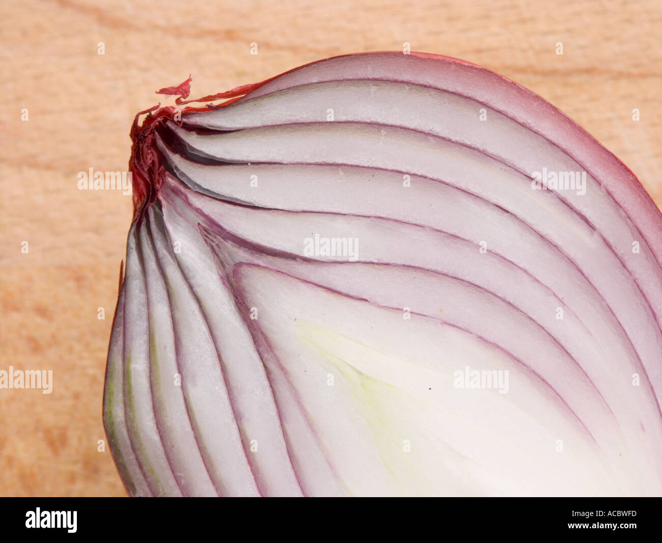 Sliced Red Onion Stock Photo - Alamy