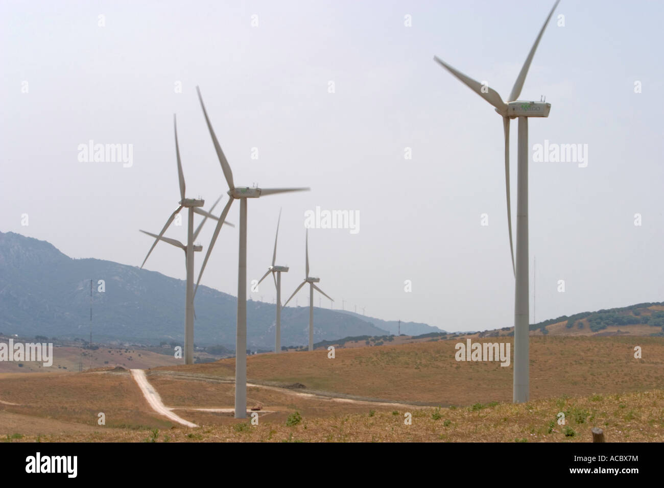 Wind farm near Tarifa one of biggest in Europe Cadiz Andalucia Spain ...