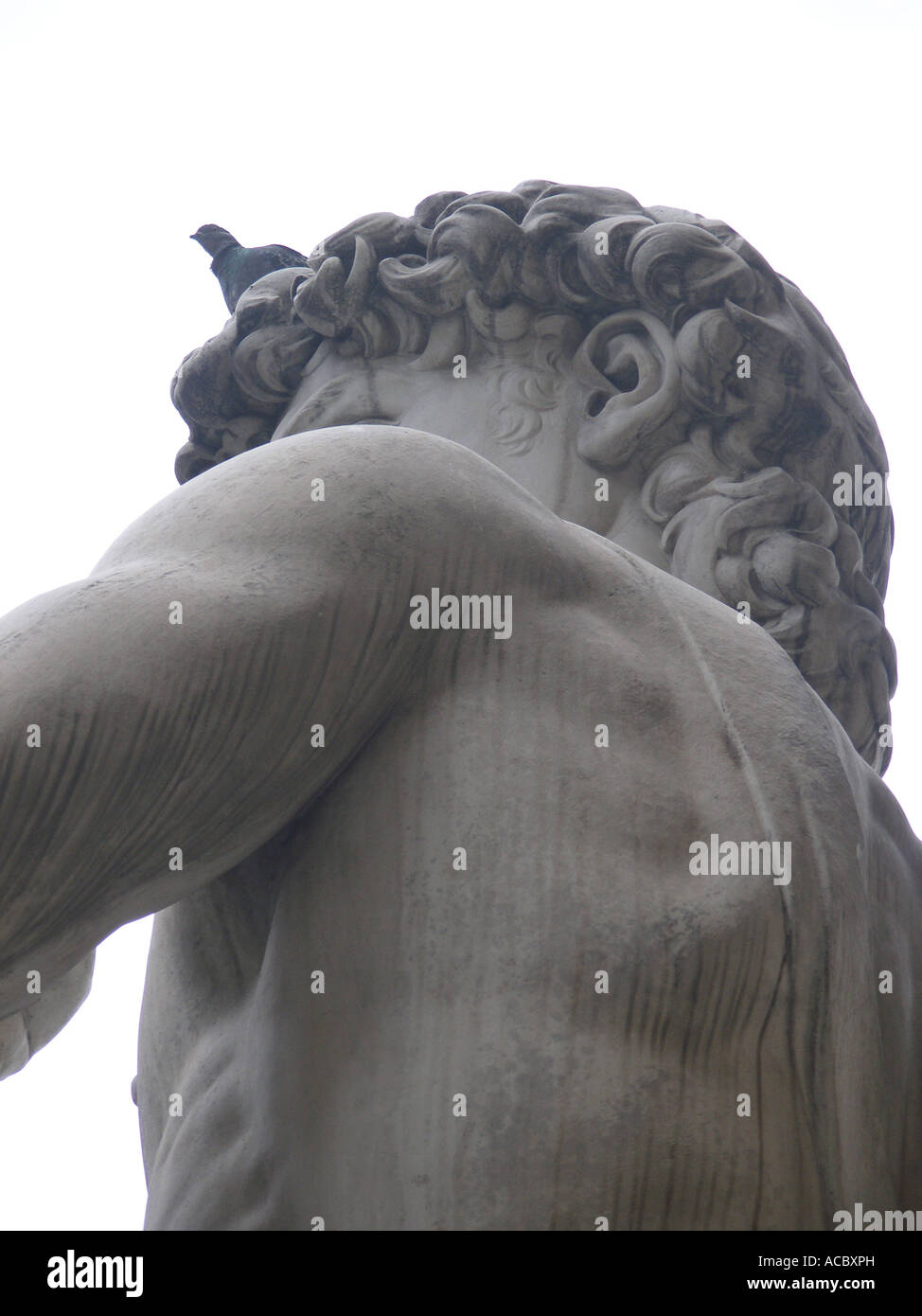 Florence Italy, statue of David Stock Photo - Alamy
