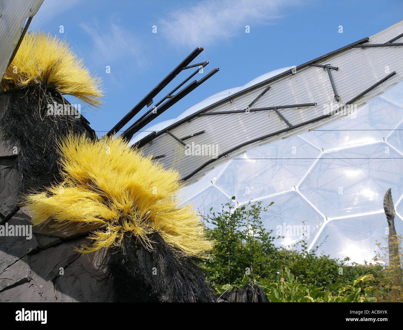 Eden Project,Cornwall with detail of bee sculpture and greenhouses on ...