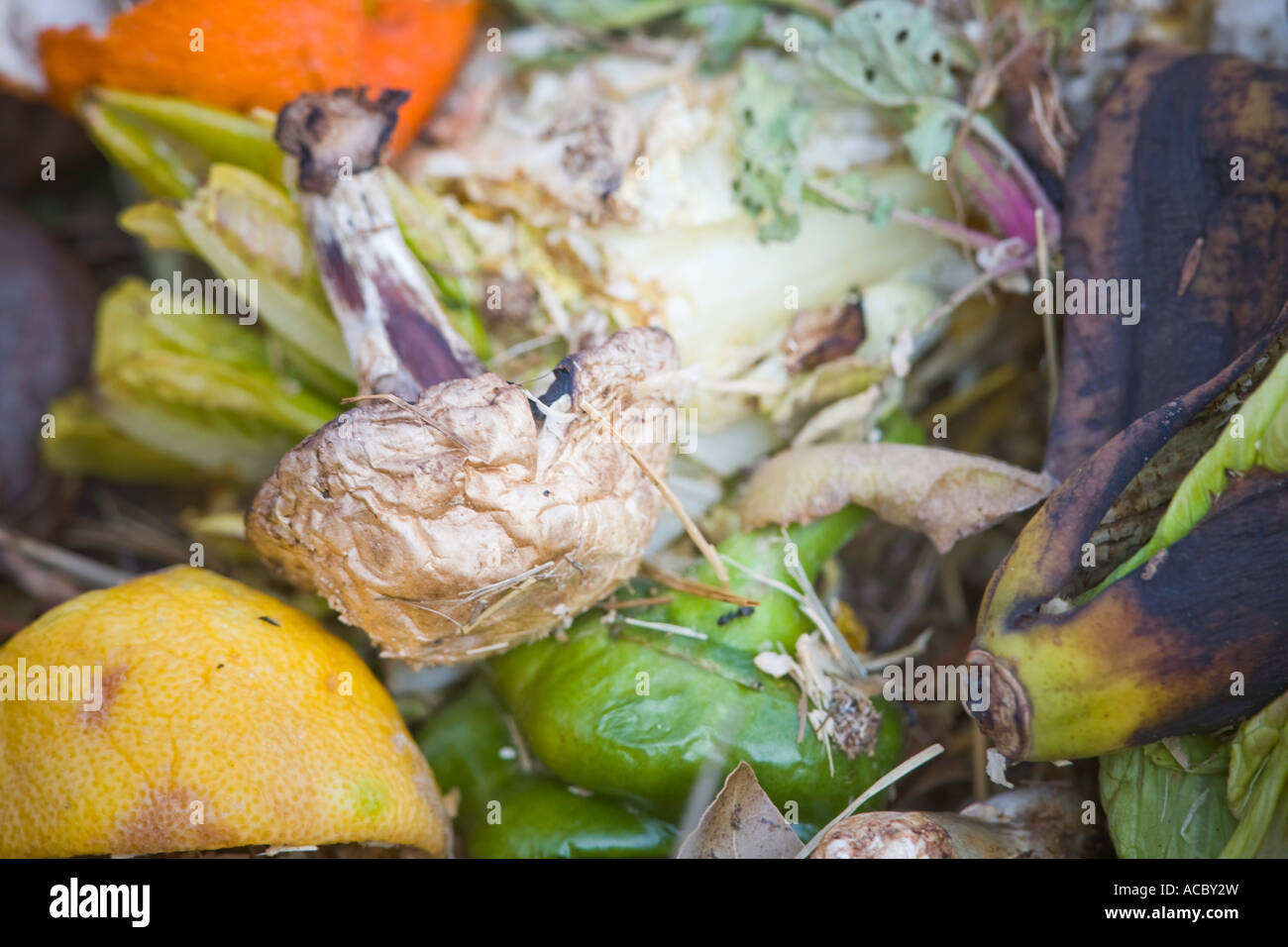 Rotting vegetables on a compost heap Stock Photo - Alamy
