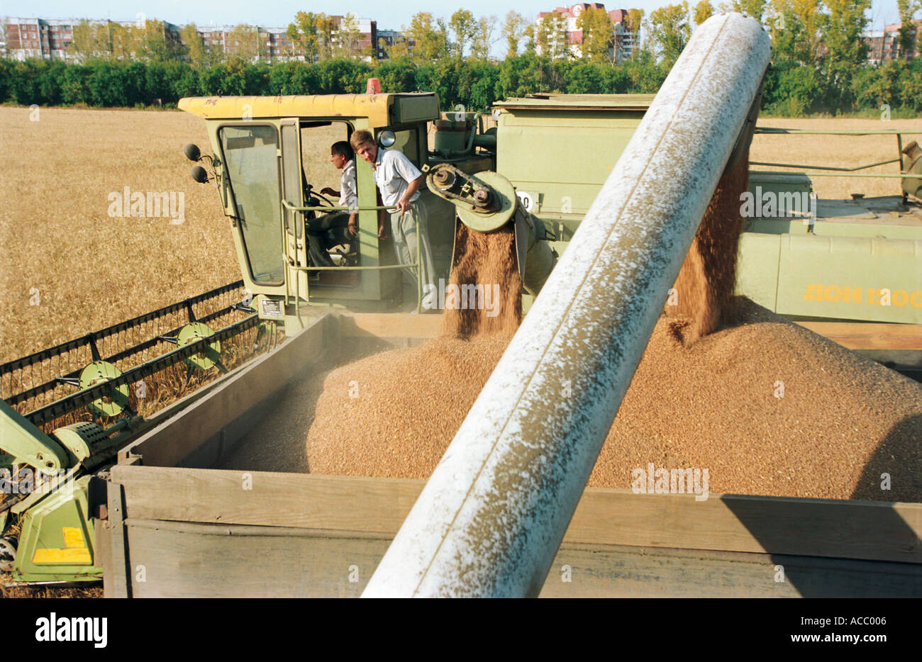 A combine is pouring grain into a lorry Stock Photo - Alamy