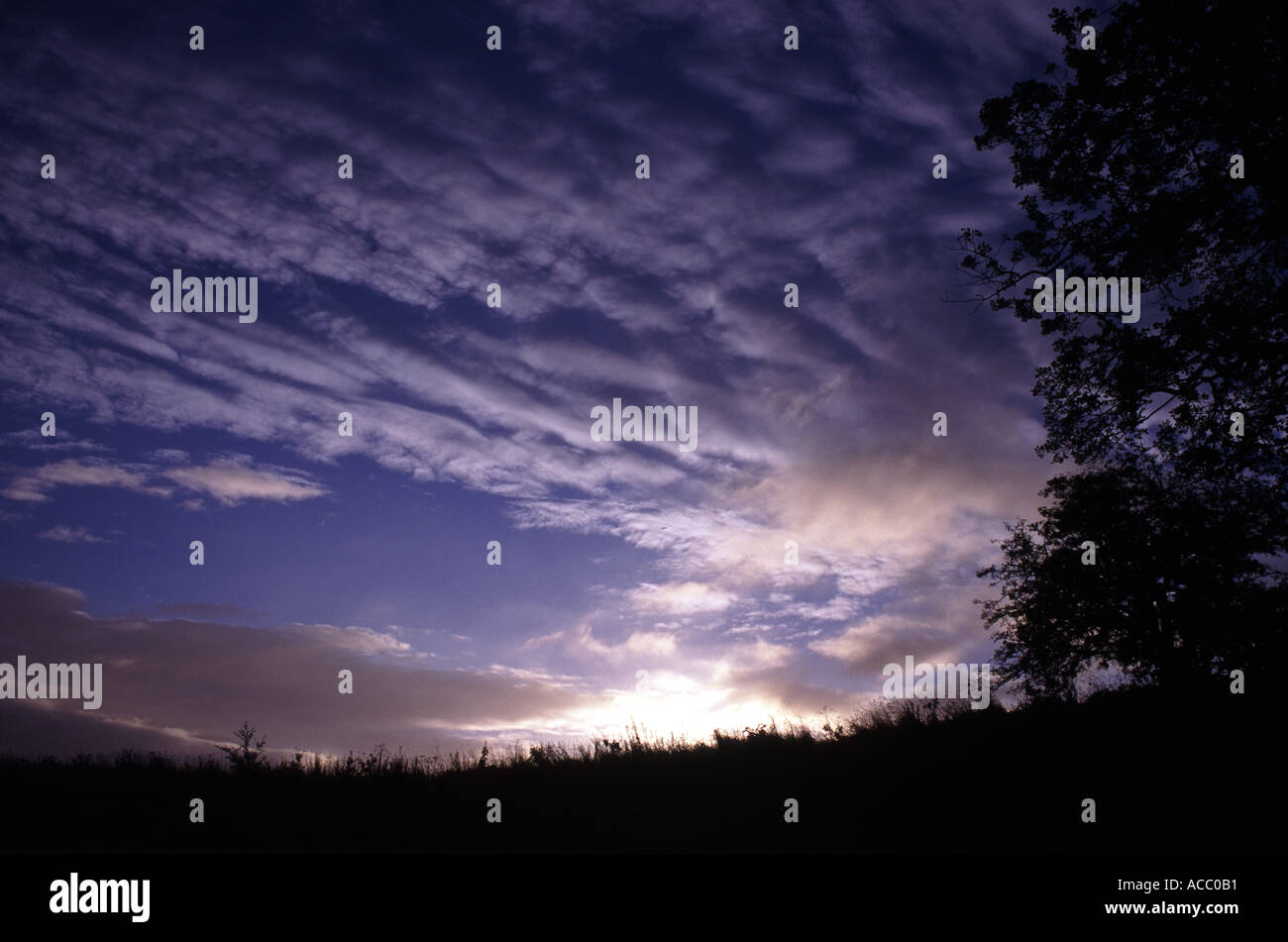 Ruchazie hi-res stock photography and images - Alamy