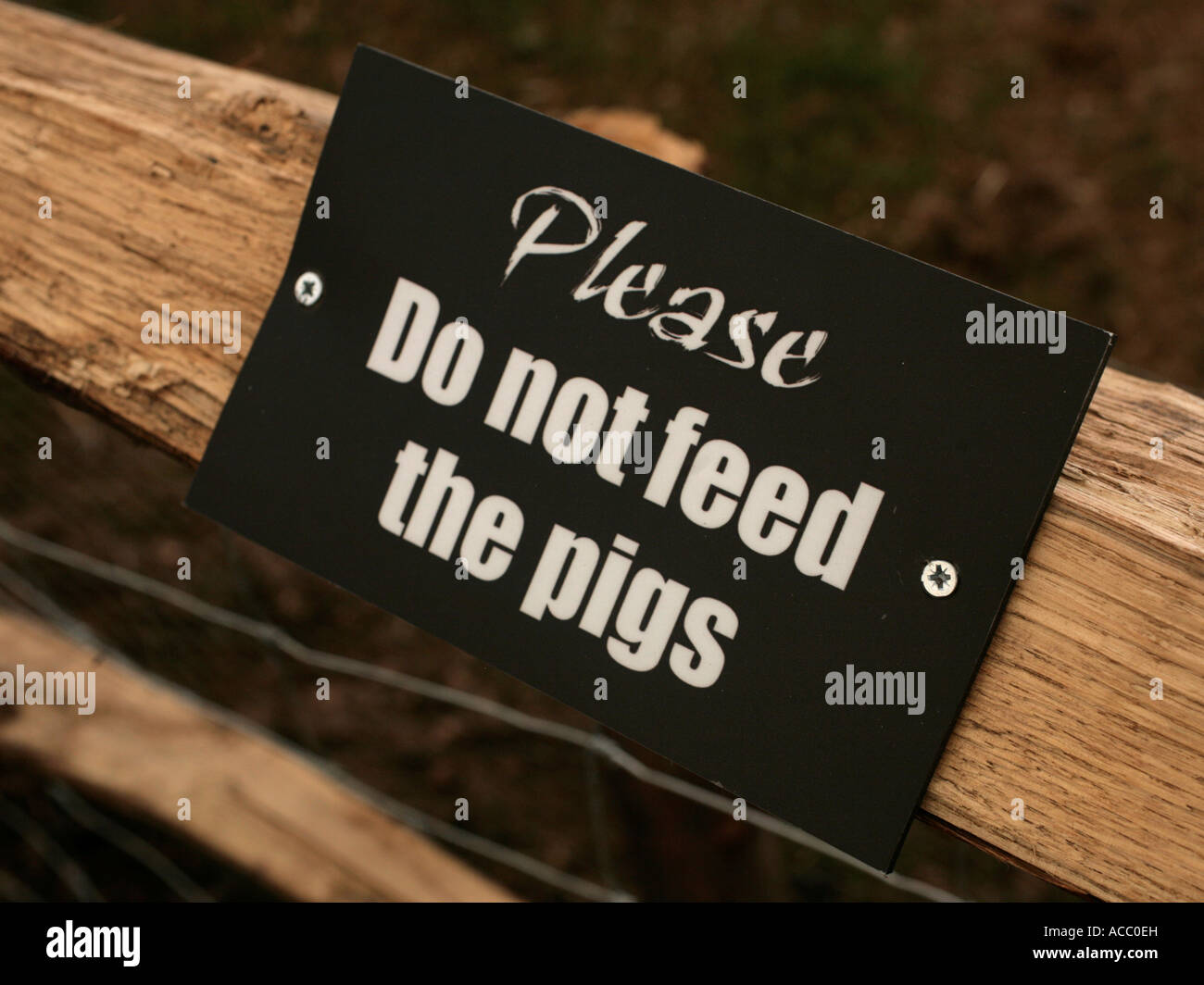 Please do not feed the pigs sign Stock Photo - Alamy