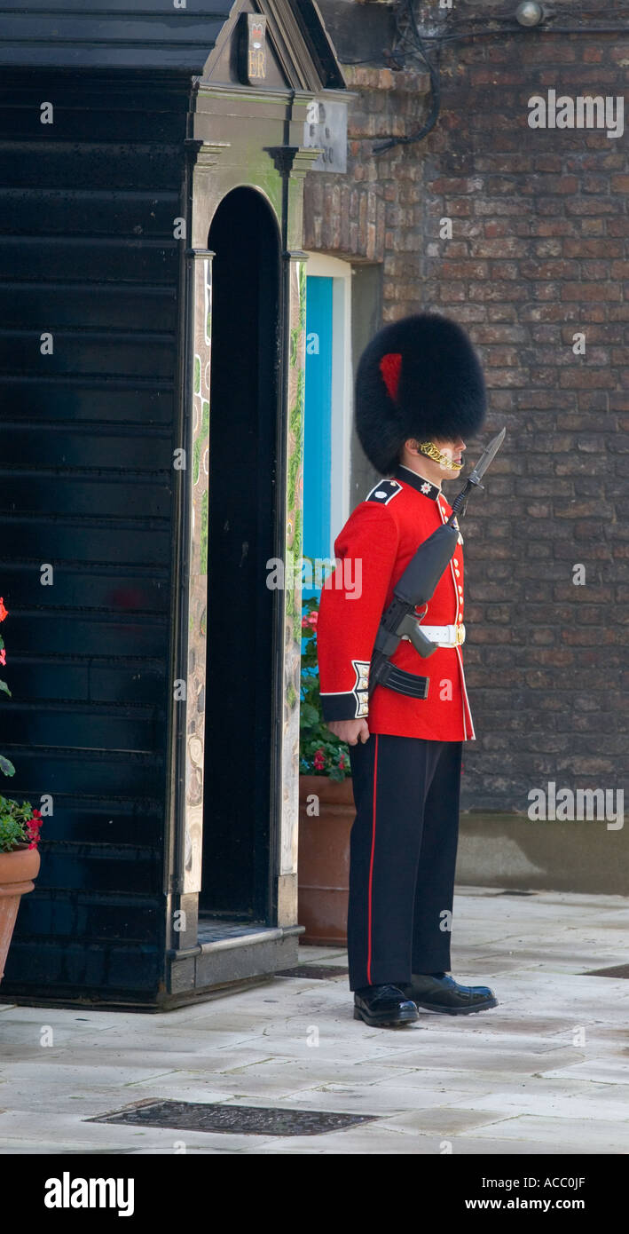 A Royal Guard soldier stands guard at the Tower of London with rifle ...