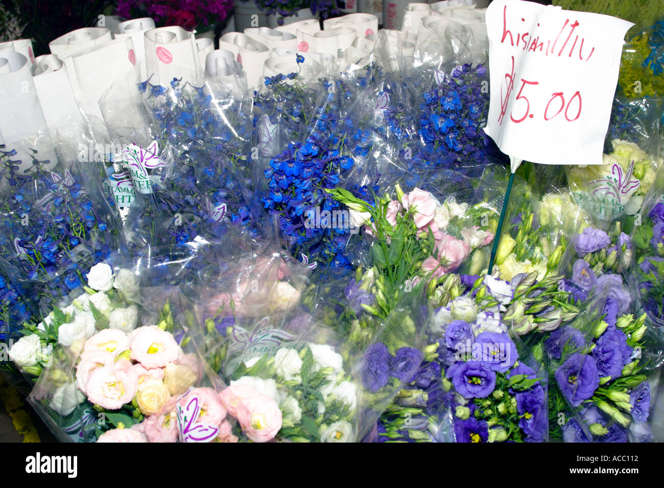 Wholesale Flower Market Display Stock Photo - Alamy