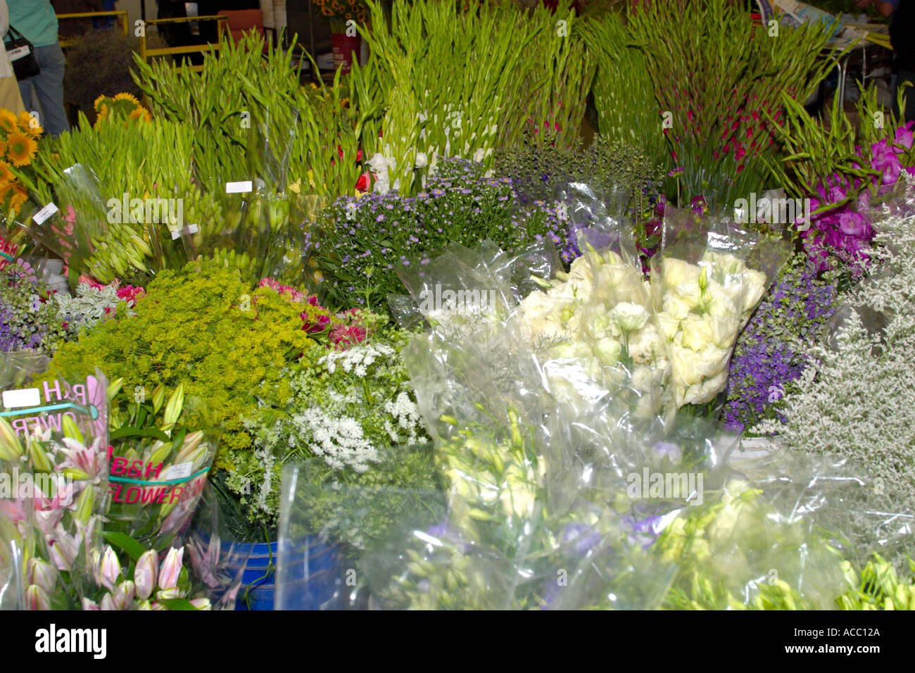 Wholesale Flower Market Display Stock Photo - Alamy