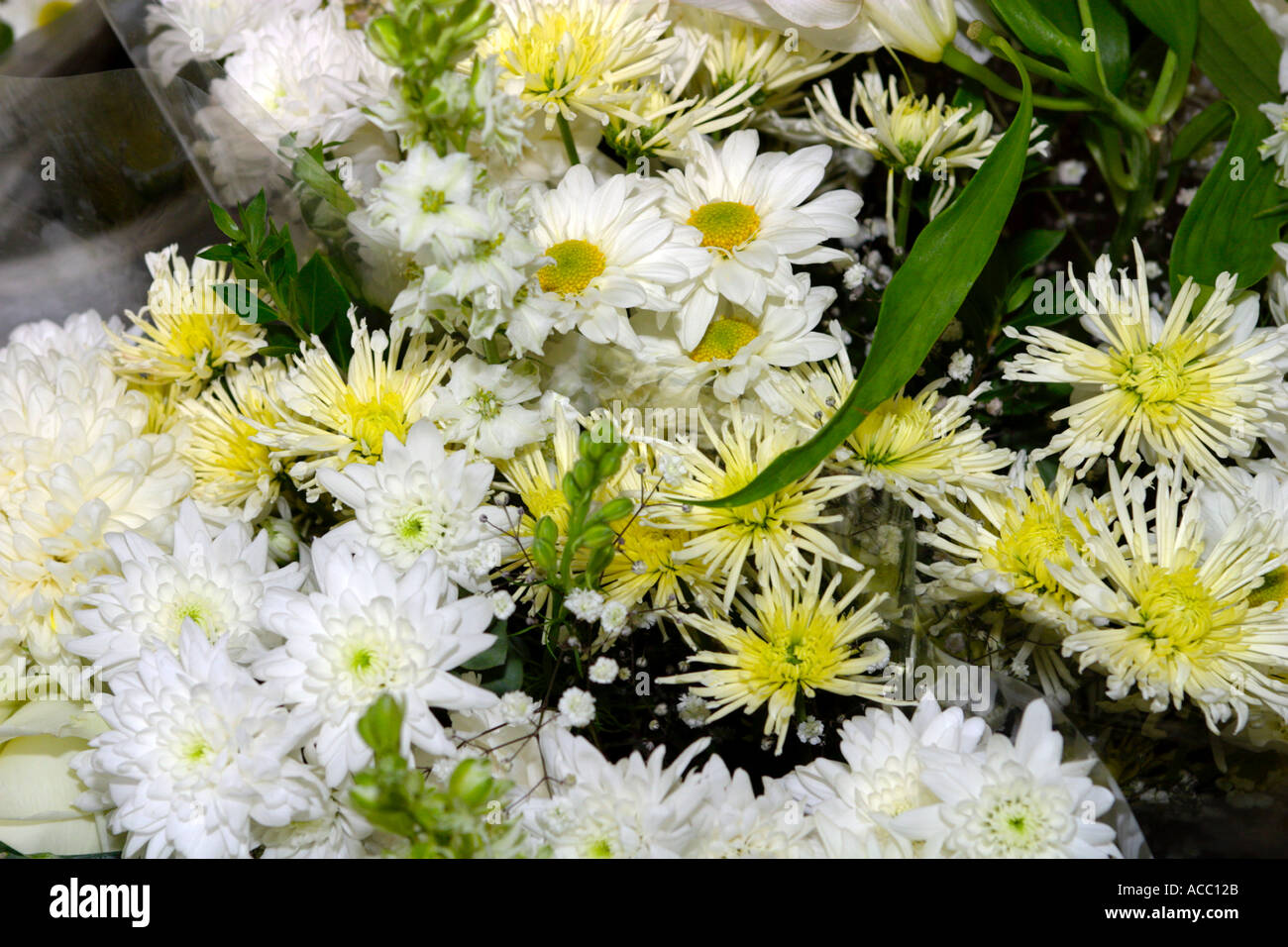 Wholesale Flower Market Display Stock Photo - Alamy
