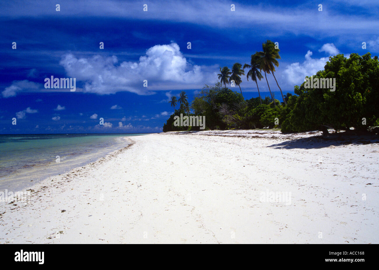 Beach scene Desroches Island Amirantes Seychelles Indian Ocean Stock ...