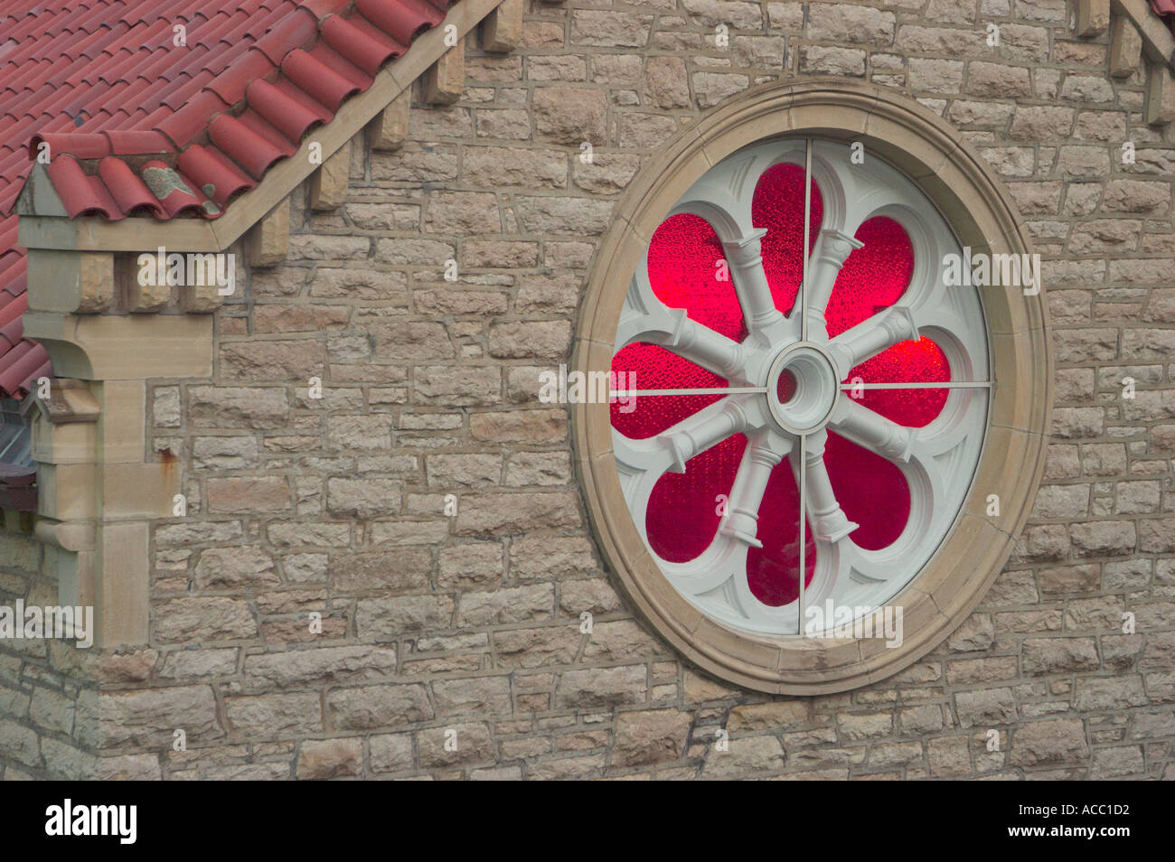 Rose colored hi-res stock photography and images - Alamy