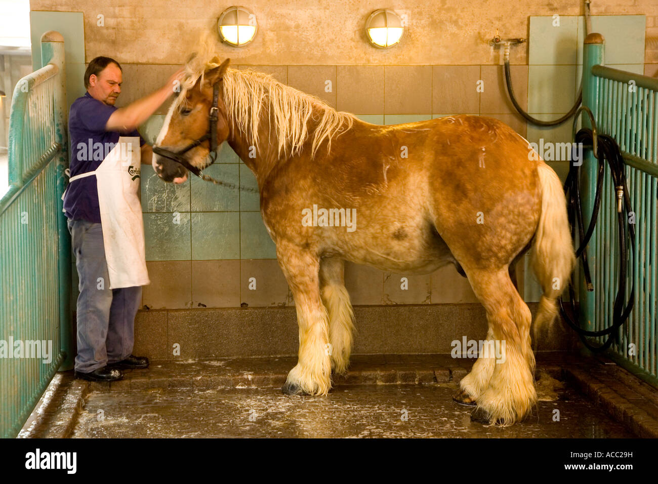 Dray where hi-res stock photography and images - Alamy