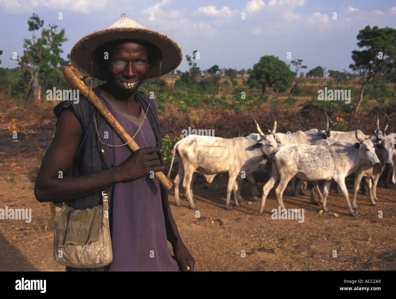 Nigerian shepherd hi-res stock photography and images - Alamy