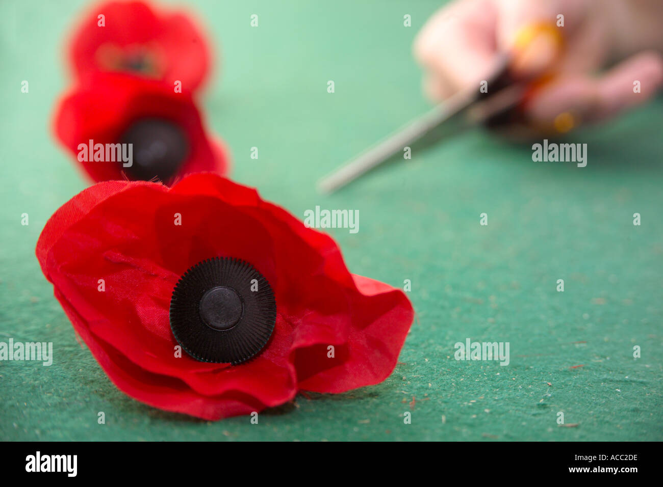 British legion poppy factory richmond hi-res stock photography and ...