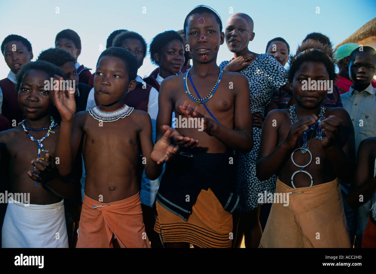 Group of dancers performing traditional Zulu dance, South Africa Stock ...