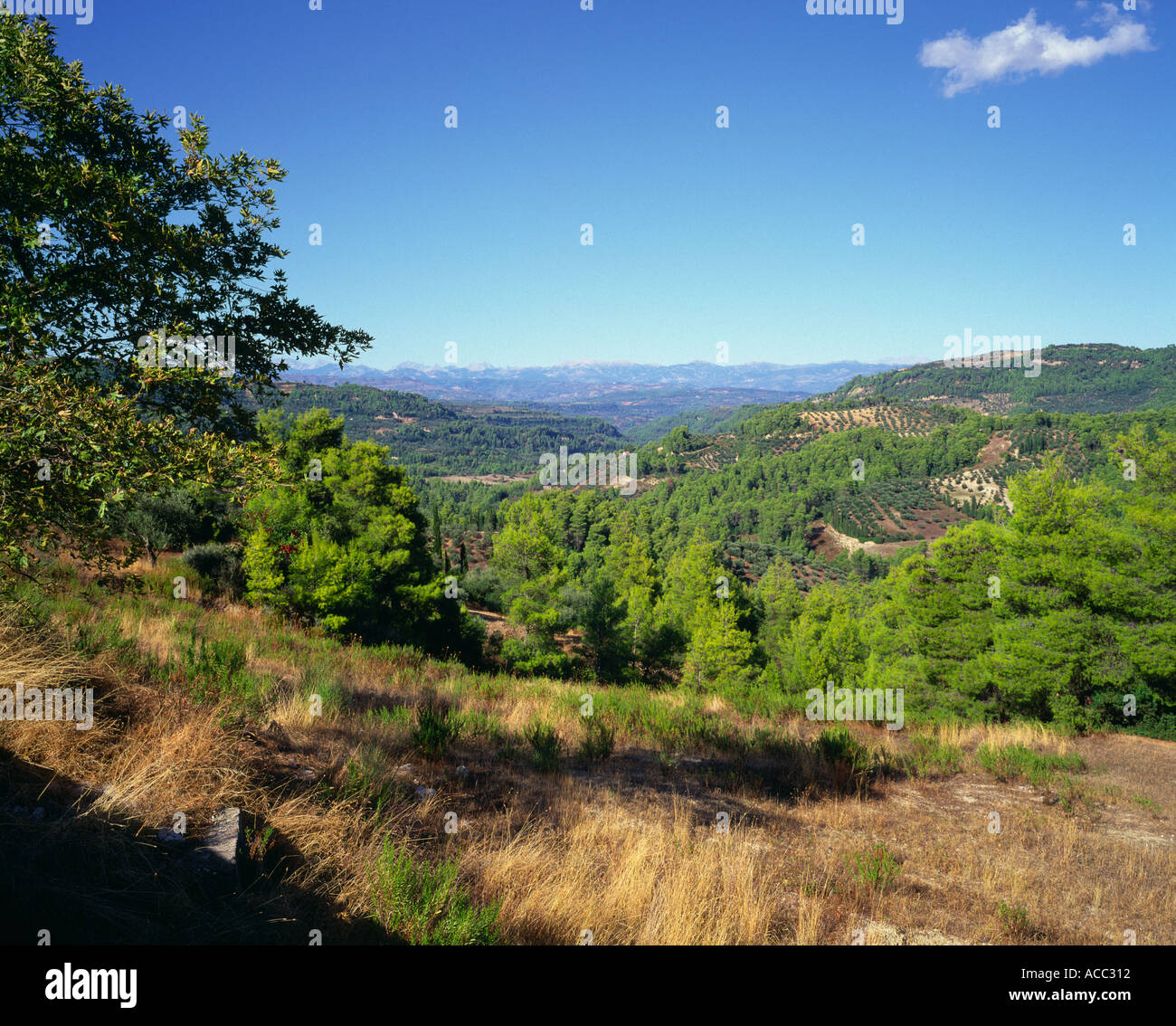 Elia Greece High Resolution Stock Photography and Images - Alamy