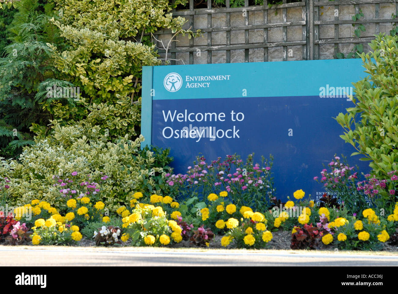 Flowers at Osney Lock Stock Photo - Alamy