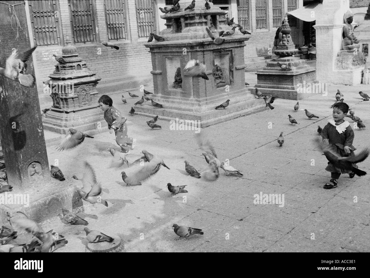 Nepal Katmandu Children chase doves through courtyard 1998 Stock Photo ...