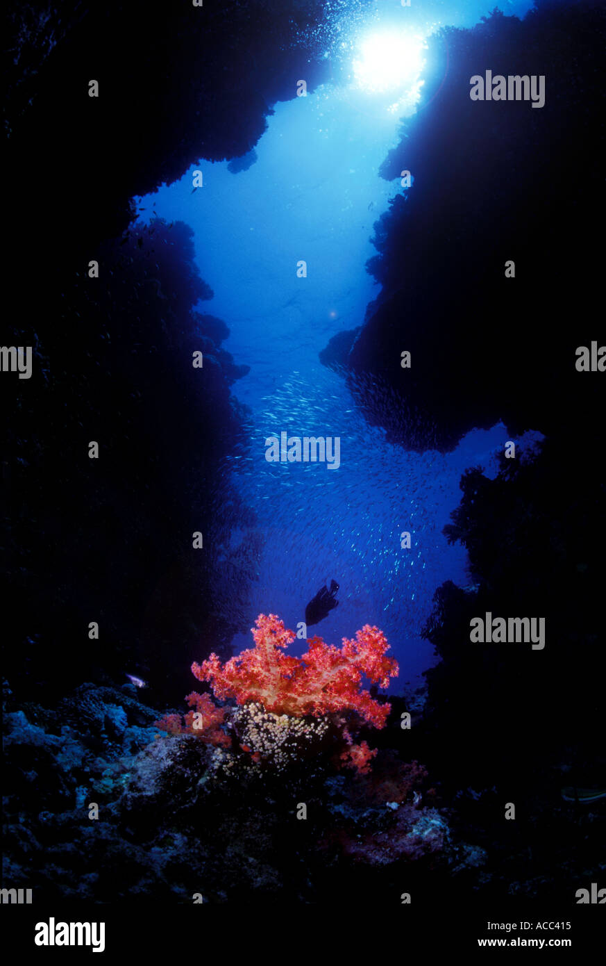 Red Coral cave Stock Photo - Alamy