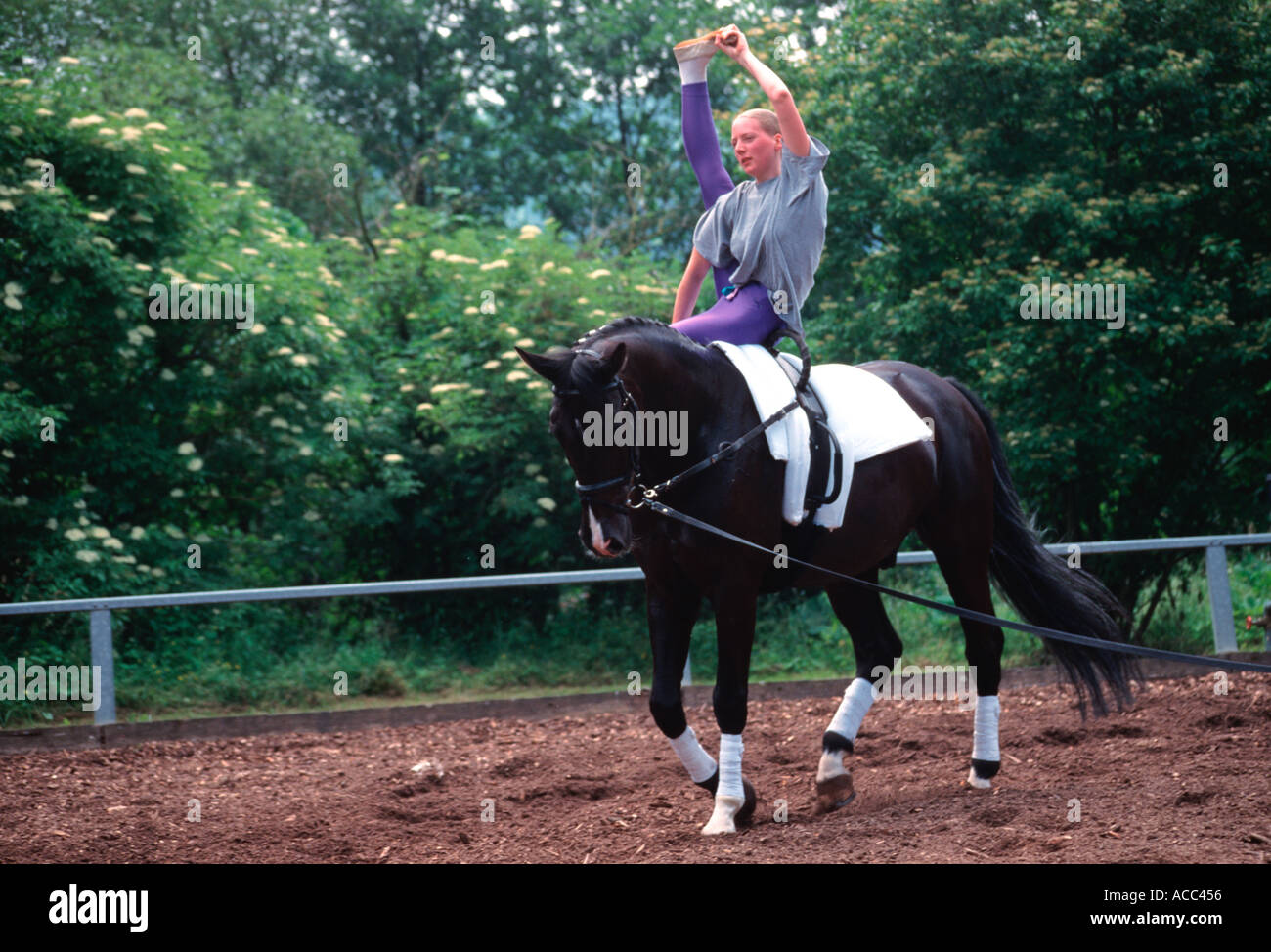 Young girl training and warming up before starting at a voltige ...