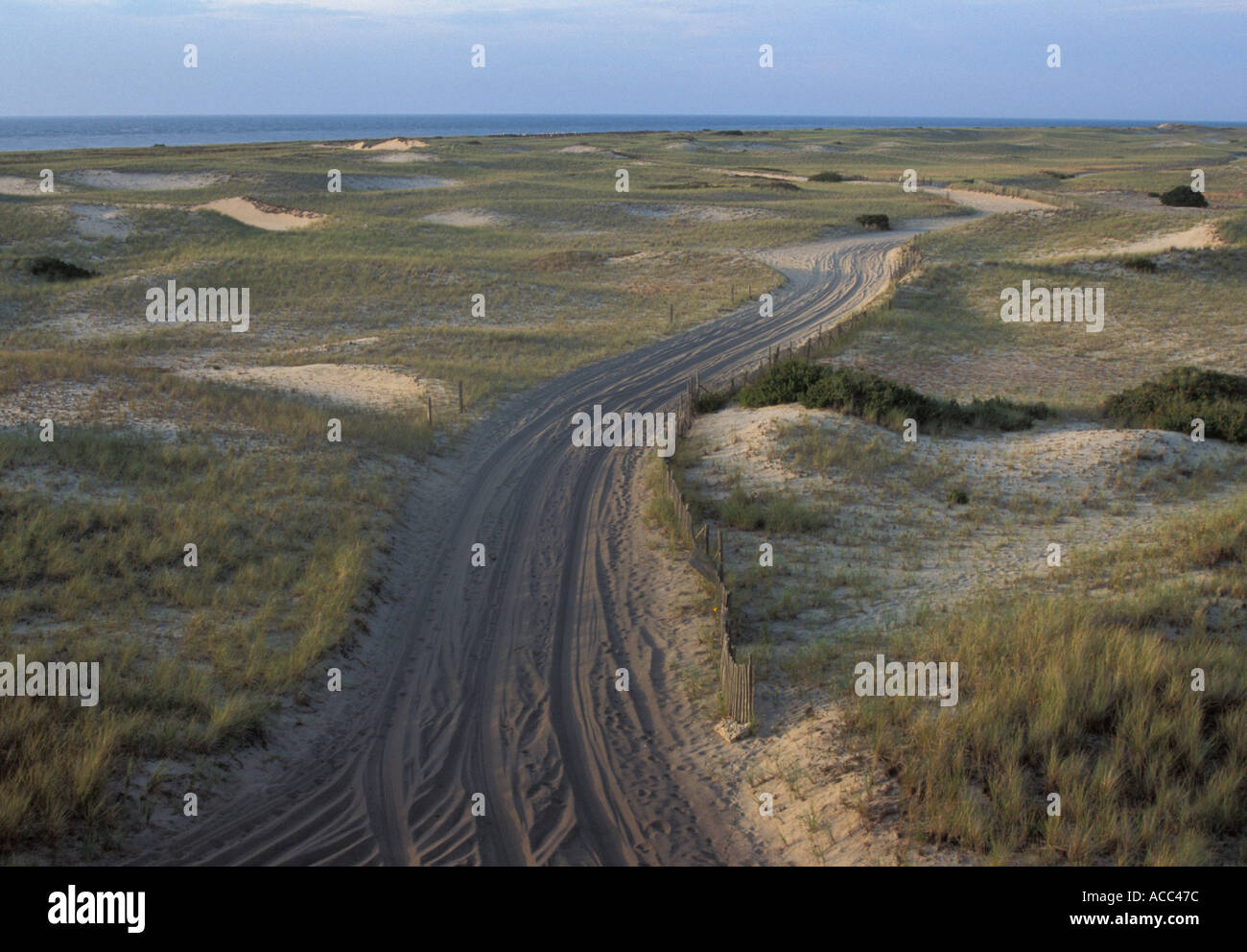 Sand dunes in Cape Cod view from Race Point lighthouse Stock Photo - Alamy