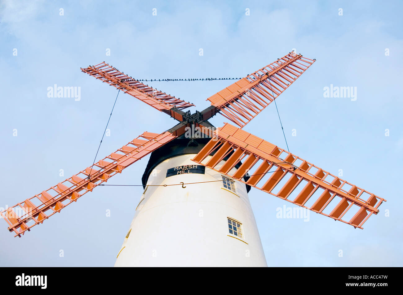 starlings on windmill Stock Photo - Alamy