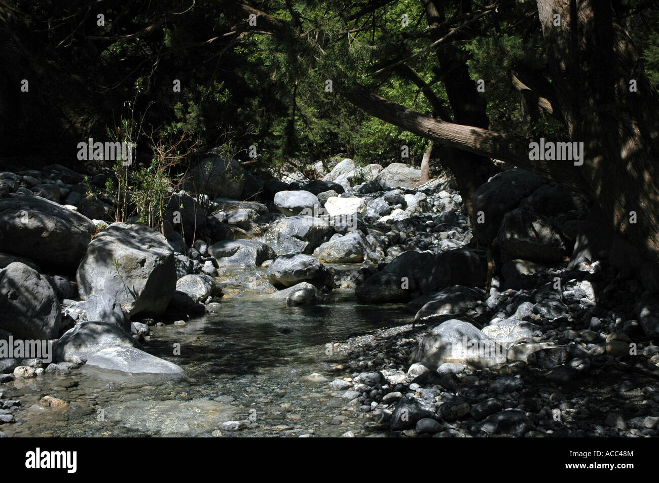 Clear water of creek in Samaria Gorge national park in the greek island ...