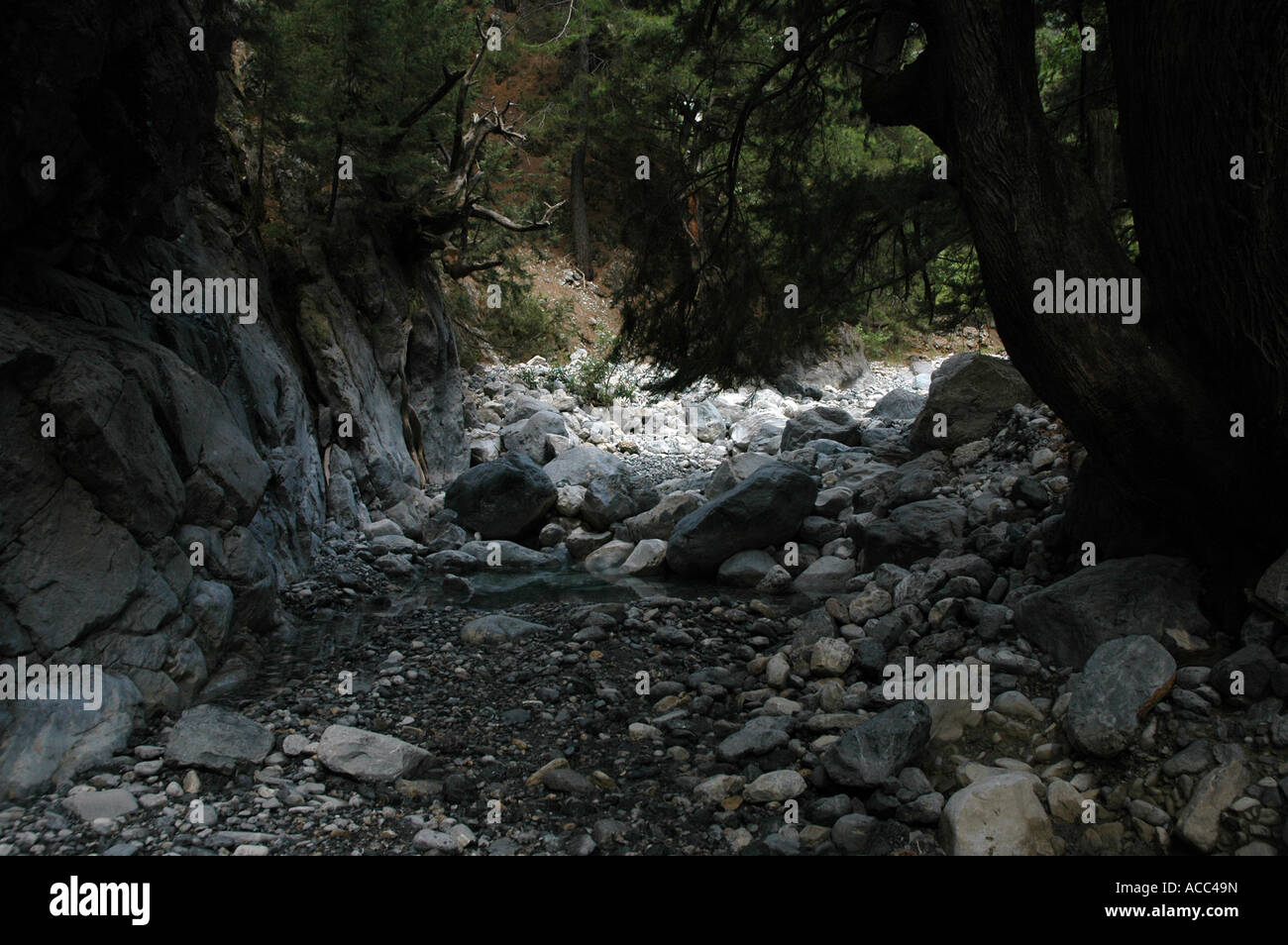 Dryied riverbed in Samaria Gorge national park in the greek island of ...