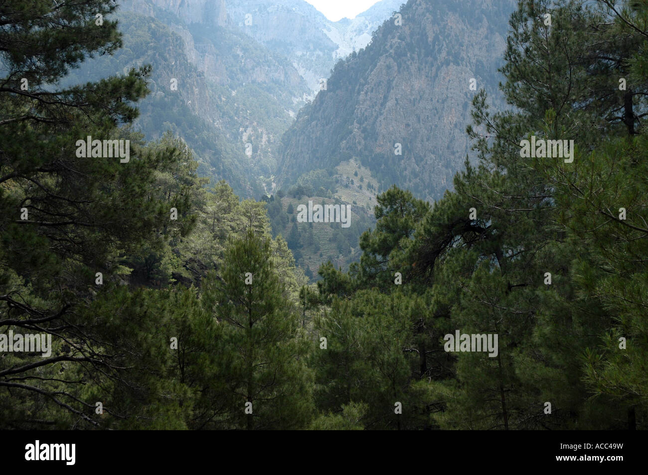 Samaria Gorge national park in the greek island of Crete Stock Photo ...