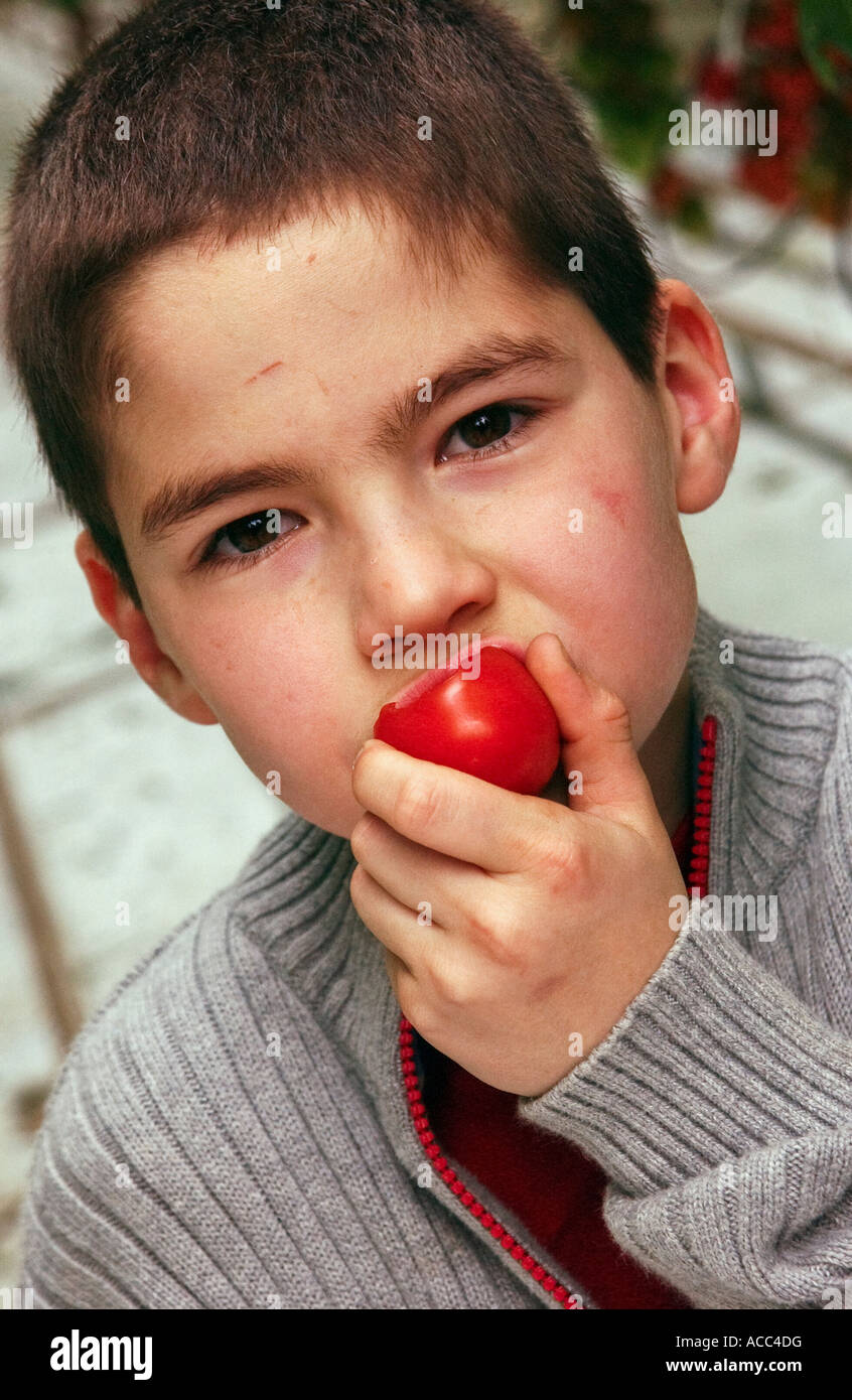Young boy eating a tomato in a commercial greenhouse Stock Photo - Alamy