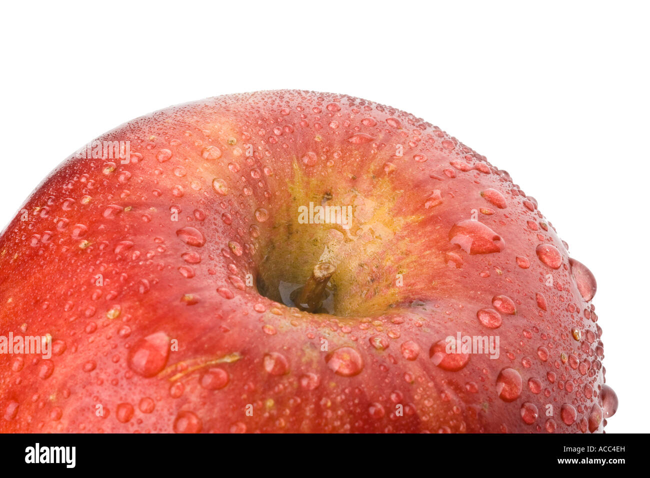 Red apple with waterdrops on white background Stock Photo - Alamy