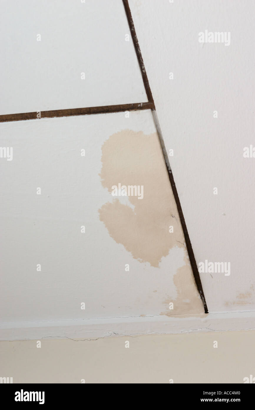 Leaking ceiling hi-res stock photography and images - Alamy