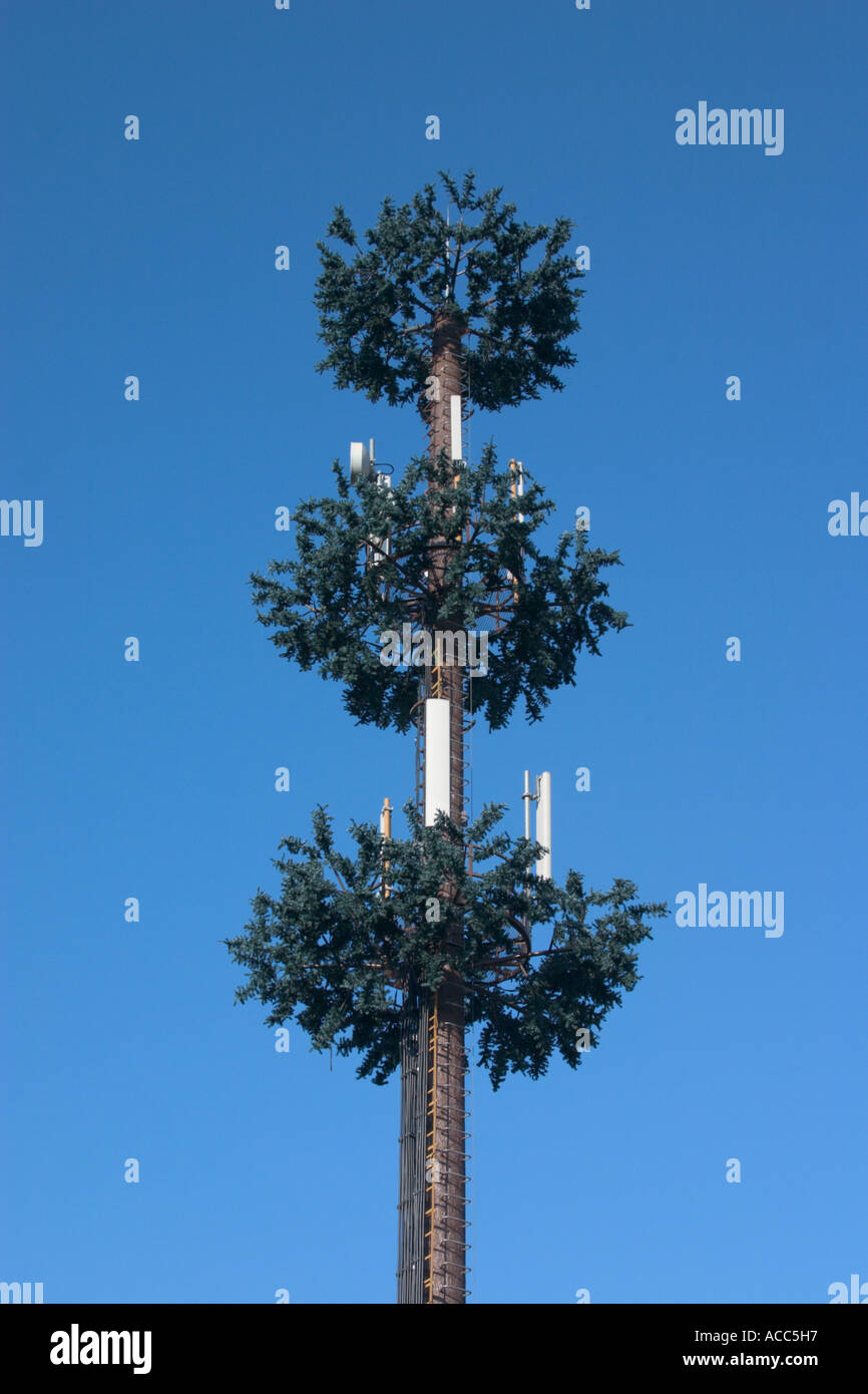 Cell phone tower tree hi-res stock photography and images - Alamy