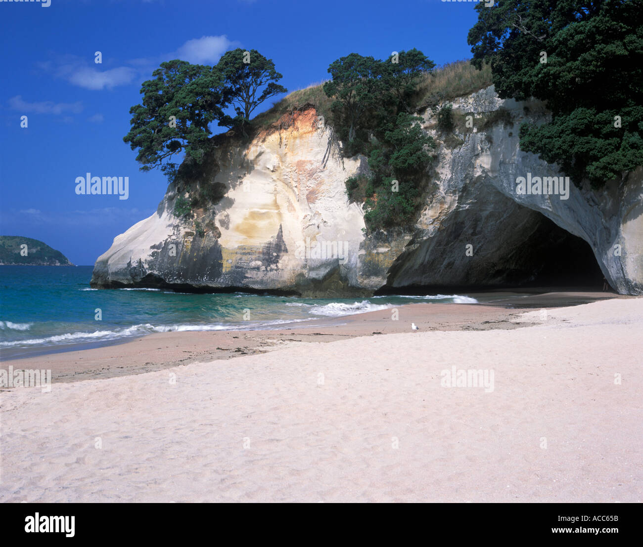 Cathedral Cove on the Coromandel Peninsular North Island New Zealand ...