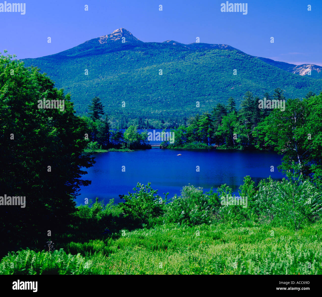 Mount chocorua lake hi-res stock photography and images - Alamy