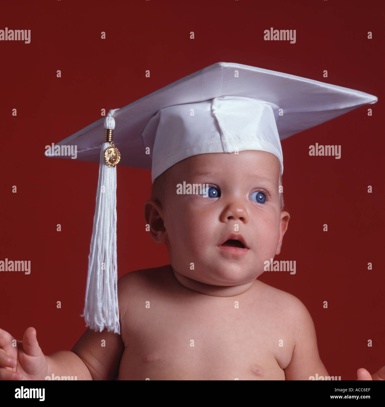 Baby Graduation Cap Graduate High Resolution Stock Photography and ...