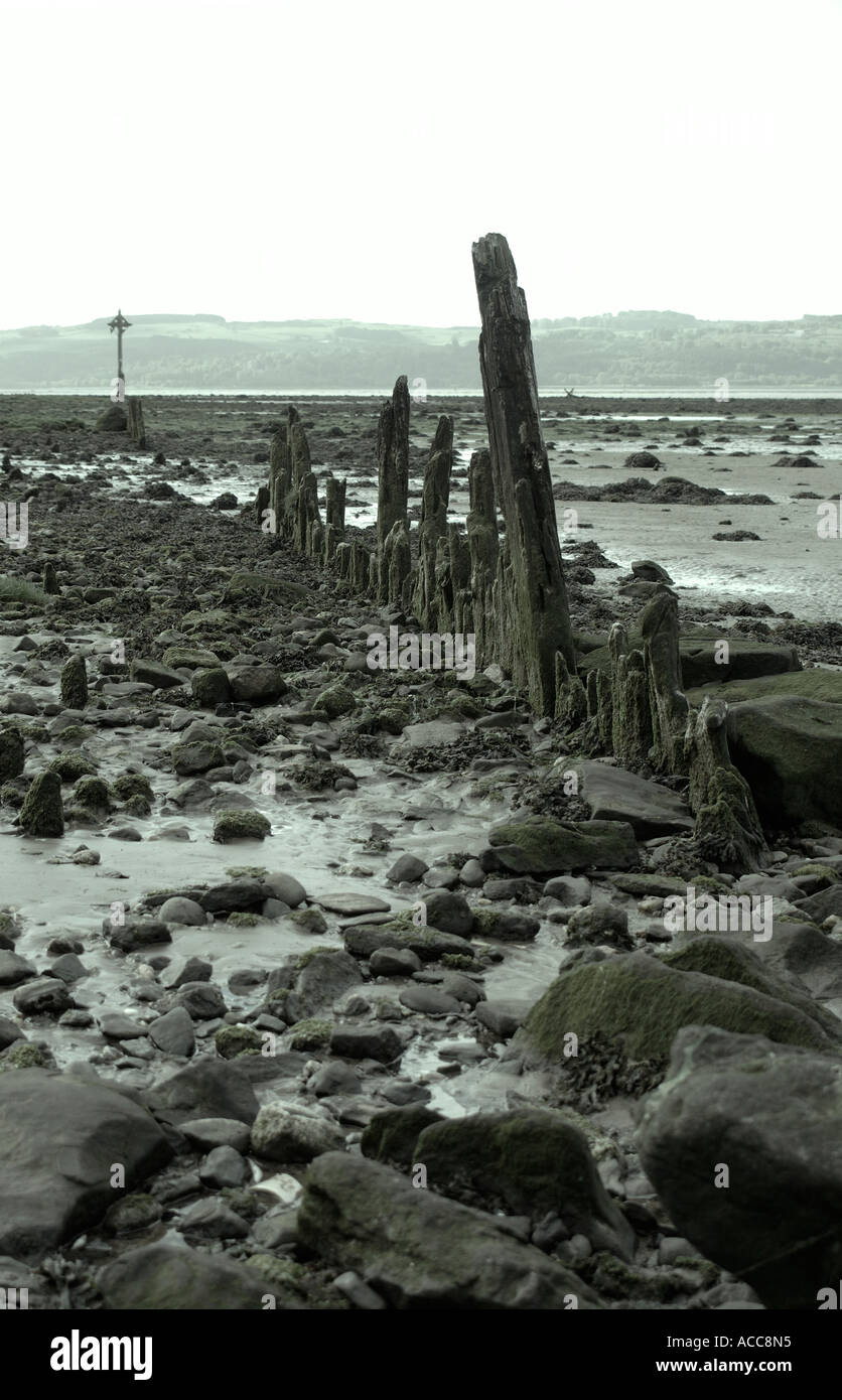 River Clyde estuary shoreline with old timbers at Cardross Stock Photo ...