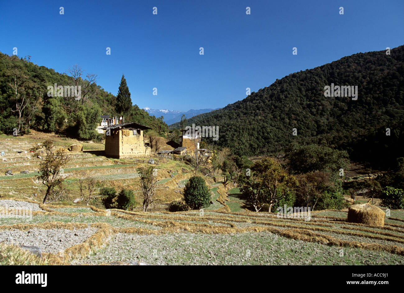 Lush green scenery hi-res stock photography and images - Alamy