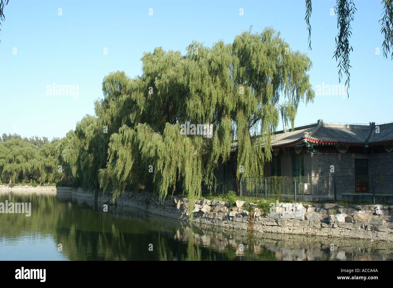 landscape trees and lake Beijing, China Stock Photo - Alamy
