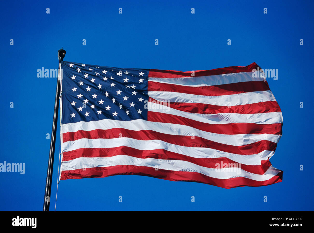 Usa symbolic single close up hi-res stock photography and images - Alamy