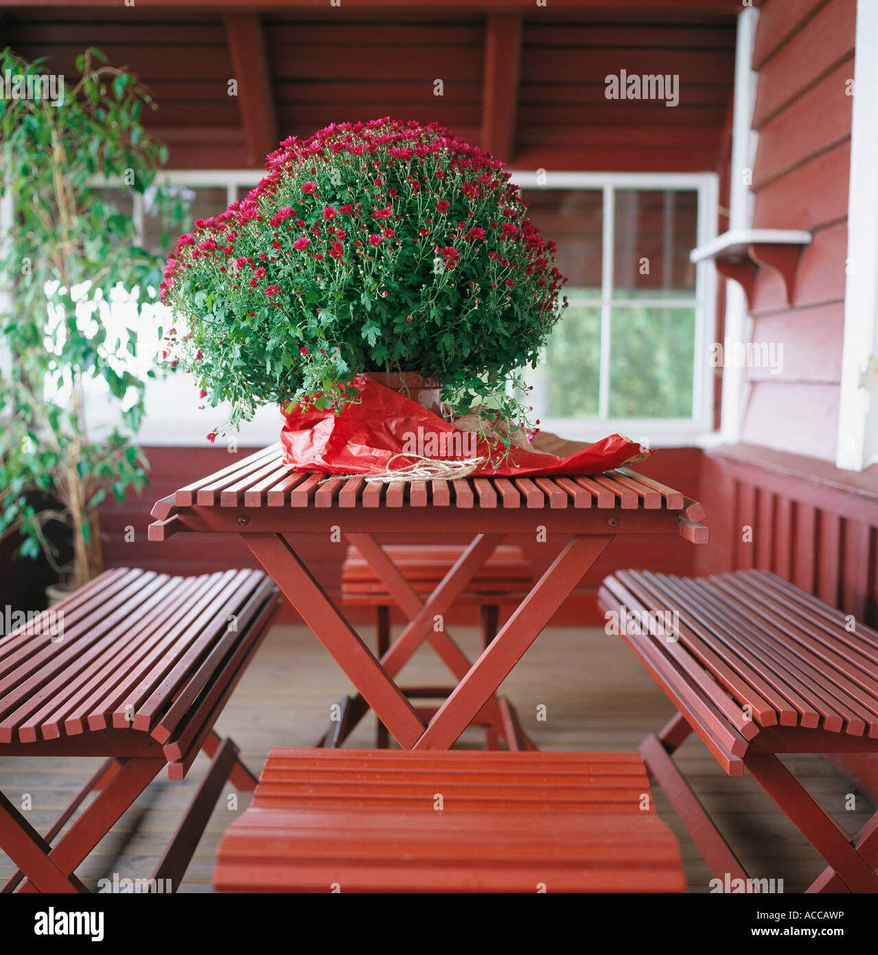 Flowers on an outdoor table Stock Photo - Alamy