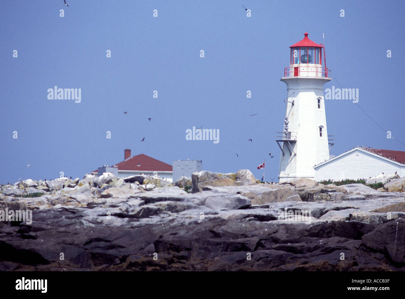 Machias Seal Island Lightstation since 1832 Today two light keepers man ...