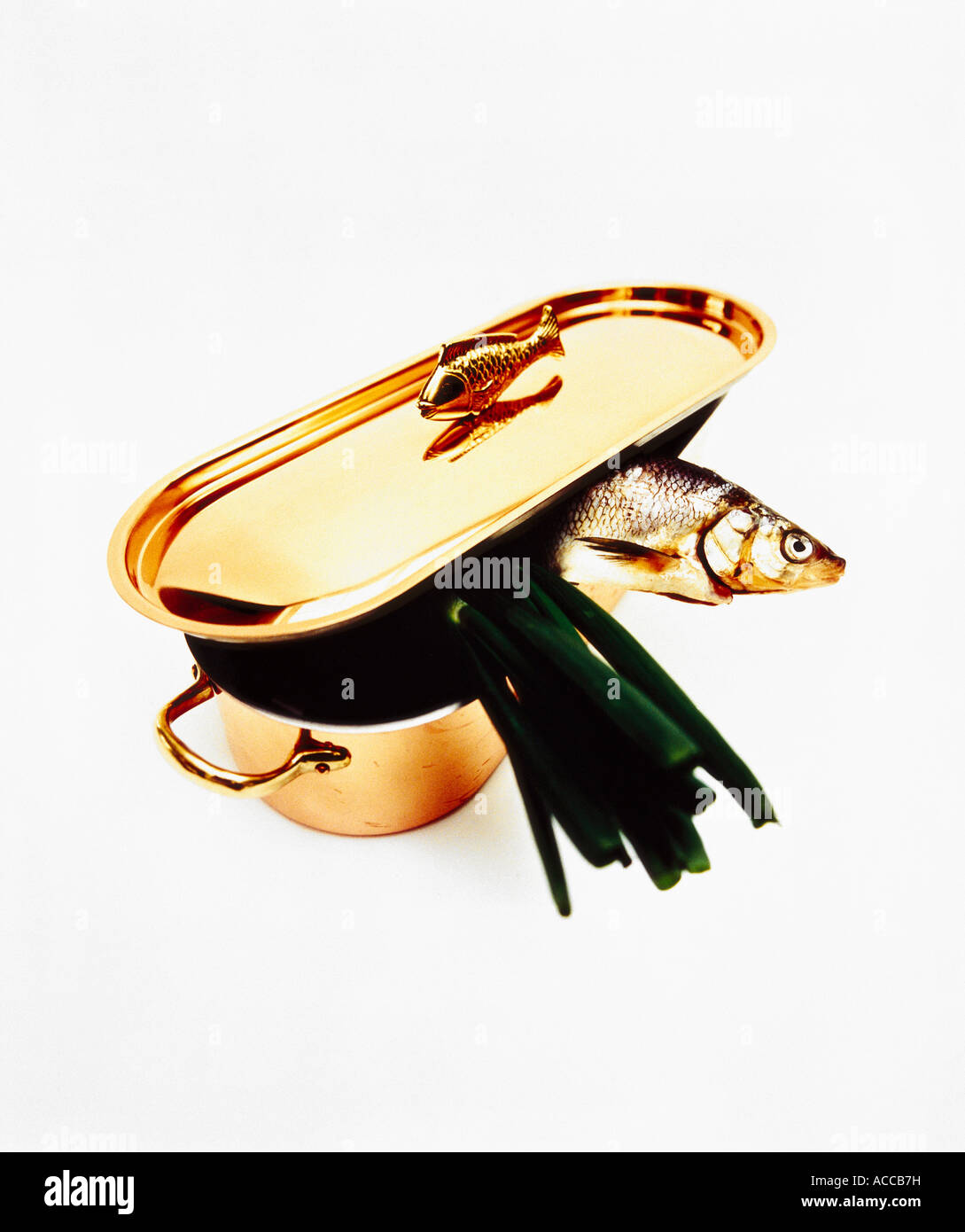 A fish in a can on a white background Stock Photo - Alamy