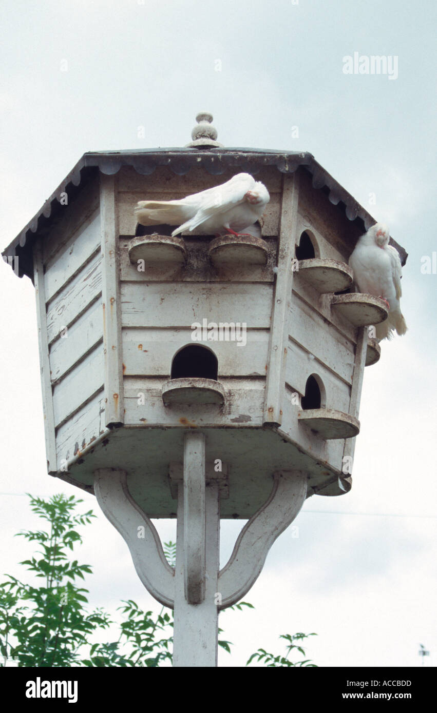 Dove dovecote hi-res stock photography and images - Alamy