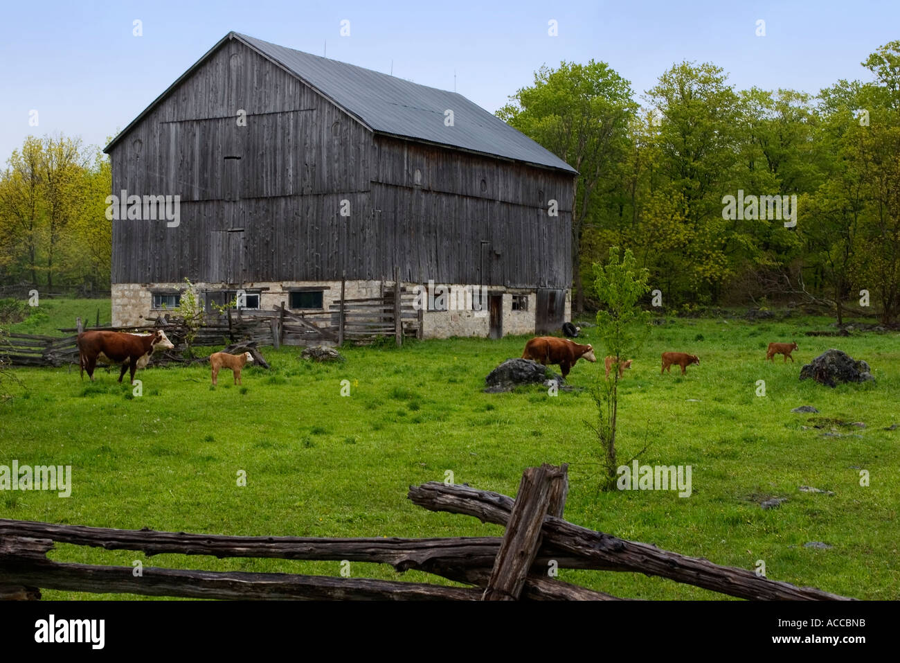 Watching over hi-res stock photography and images - Alamy