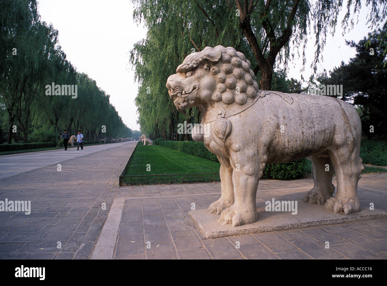 A stone lion guarding the Spirit Way in Ming Tomb Beijing China Stock ...